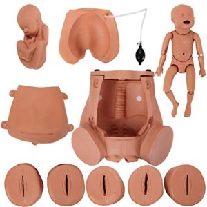 Anatomy Lab Cesarean Section Simulator | C-Section Simulator Permits Abdominal Incisions and Removal of the Baby | Basic and Realistic Obstetric Practice Capabilities | Has baby and 5 Dilation Models