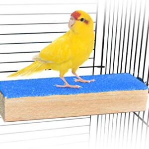 2 Pack - Bird Cage Perch Stand - Beak and Foot Grinding Platform - All Natural Materials - Parakeets, Cockatiels, Canaries, Finches, Conures, Lories, and Budgies - Hamsters and Gerbils (Wood Perch)