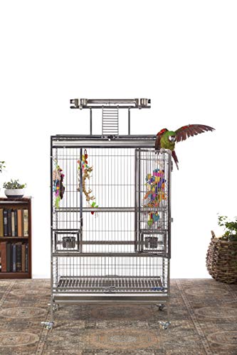 Prevue Pet Products Large Stainless Steel Play Top Bird Cage, Rust Resistant Metal Cage for Birds with Rooftop Ladder and Playtop