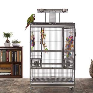 Prevue Pet Products Large Stainless Steel Play Top Bird Cage, Rust Resistant Metal Cage for Birds with Rooftop Ladder and Playtop