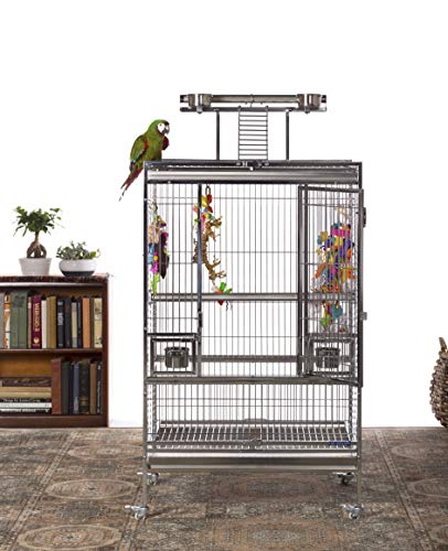 Prevue Pet Products Large Stainless Steel Play Top Bird Cage, Rust Resistant Metal Cage for Birds with Rooftop Ladder and Playtop