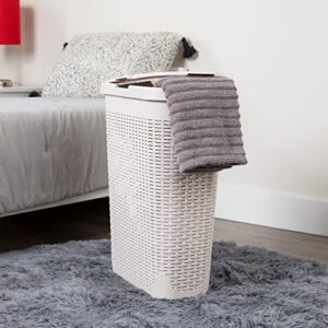 Mind Reader Basket Collection, Slim Laundry Hamper, 40 Liter (15kg/33lbs) Capacity, Cut Out Handles, Attached Hinged Lid, Ventilated, 18"L x 10.4"W x 23.5"H, Ivory