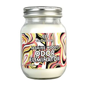 special blue odor eliminator candle - 13oz / assorted (jasmine woods)