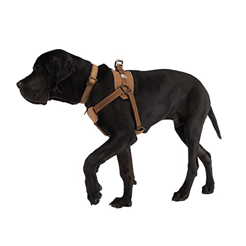 Carhartt Nylon Duck Training Dog Harness, Carhartt Brown, Medium