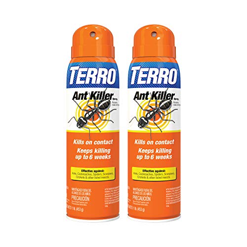 TERRO T401SR Indoor and Outdoor Ant Killer Aerosol Spray - Kills Ants, Cockroaches, Crickets, Scorpions, Spiders, and Other Insects - 2 Pack 32 Total Ounces