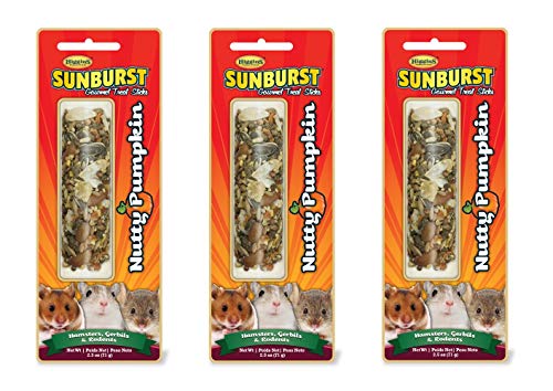 Higgins Sunburst Gourmet Treat Stick, 2.5 Ounces, Nutty Pumpkin Flavor for Hamsters Gerbils Mice and Other Rodents (3 Pack)