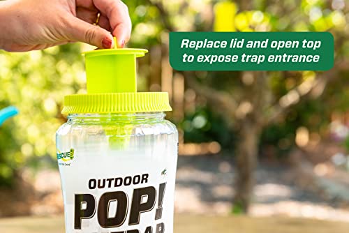 RESCUE! POP! Fly Trap – Large Reusable Fly Trap for Outdoor Use - 3 Pack