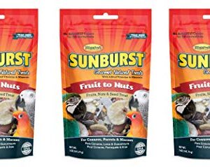 Higgins 3 Pack of Sunburst Gourmet Natural Bird Treats, 5 Ounces Each, Fruits to Nuts Flavor, for Conures Parrots and Macaws