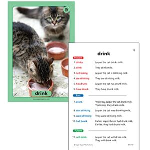 Super Duper Publications | Irregular Verbs in Sentences Photo Fun Deck Flash Cards | Educational Learning Resource for Children