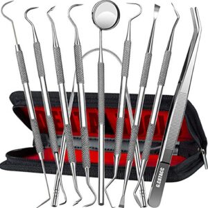 dental tools, professional teeth cleaning tools stainless steel tartar remover oral hygiene care scraper tools set for adults, kids, family, dogs with leather case, 11 piece set