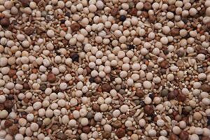 no corn flyer pigeon mix (16%) 20 lbs