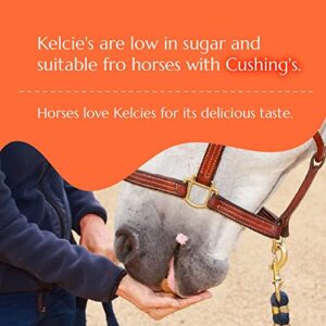 Kelcies Limited Spice Horse Treats Bag | Premium All Natural Treats | Starch and Carbohydrates | Tasty Horse Treats Packed with Superfoods | Low Sugar Treats | Suitable for Horses with Cushing's-5lbs