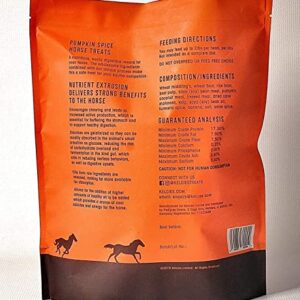 Kelcies Limited Spice Horse Treats Bag | Premium All Natural Treats | Starch and Carbohydrates | Tasty Horse Treats Packed with Superfoods | Low Sugar Treats | Suitable for Horses with Cushing's-5lbs