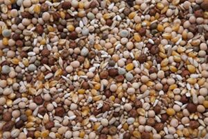 king 45 pigeon mix (17%) 20 lbs