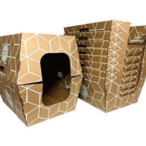 Cats Desire Disposable Litter Boxes 10 Trays-8.5 inches Tall Each Tray