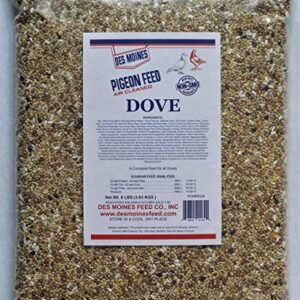 Pigeon Feed Dove Mix (8)