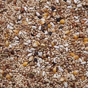 Pigeon Feed Dove Mix (8)