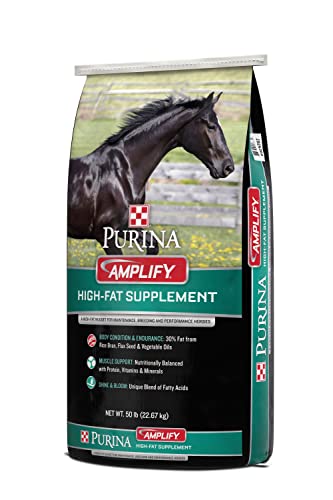 Purina Animal Nutrition Amplify Equine Supplement