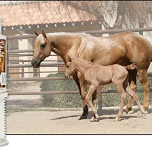 UltraCruz-sc-516023 Equine Calming Supplement for Horses, 6 X 60 ml, Paste