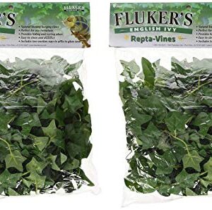 Fluker's Repta Vines-English Ivy for Reptiles and Amphibians (Тwo Рack)