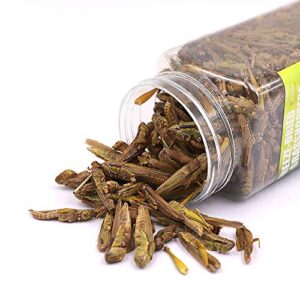 tasty freeze dried grasshopper reptile food for turtles, bearded dragon, hedgehog,lizard, chameleon, birds (3 oz)