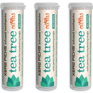 Xero Picks Tea Tree - Infused Flavored Toothpicks For Long Lasting Fresh Breath & Dry Mouth Prevention - 60 Picks - 3 Pack - Citrus