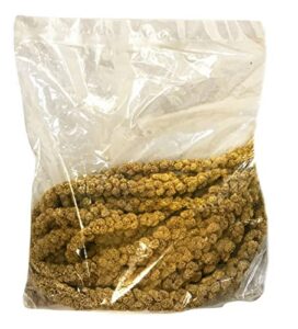 nemeth farms worlds freshest sun-dried spray millet non-gmo and pesticide free (no stems only edible tops) healthy bird treat and supplement for all pet birds keets cockatiels finches-1lb