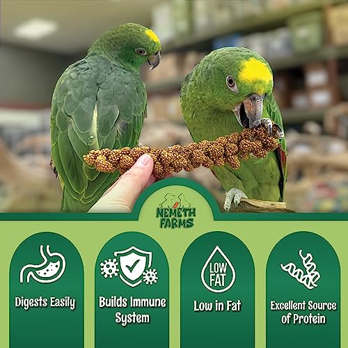 Nemeth Farms Worlds Freshest Sun-Dried Spray Millet Non-GMO and Pesticide Free (No Stems Only Edible Tops) Healthy Bird Treat and Supplement for All Pet Birds Keets Cockatiels Finches-1lb