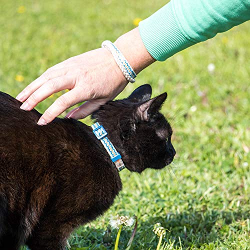 Pettsie Cat Collar Breakaway Safety and Friendship Bracelet for You, Durable 100% Cotton for Extra Safety, Comfortable and Soft, D-Ring for Accessories, Gift Box Included (7.5"-11.5" Neck, Blue)