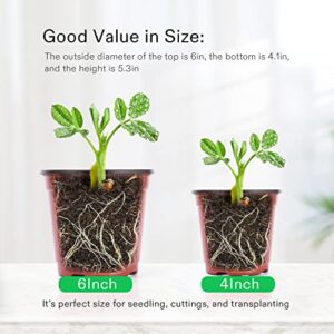 VIVOSUN 50pcs 6 Inch Planter Nursery Pots, Plastic Pots for Flower Seedling