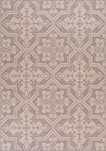 HOMEGNOME Indoor Outdoor Portico Area Rug (8'x10', Silver Grey)