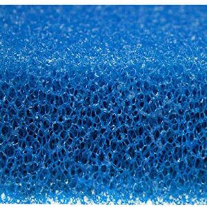 ViaAqua Aquarium Filter Sponge Open Cell Foam Sheet Bio Sponge Filter Media Pad HMF Fish Tank Sump Divider 12" x 12" x 2" (Blue, 20PPI)