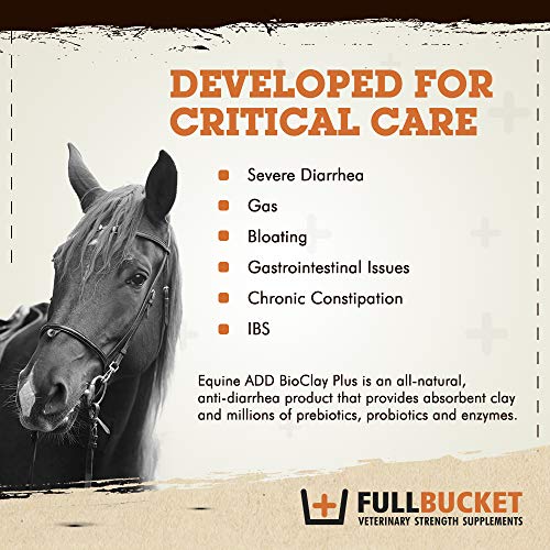 FullBucket Equine ADD BioClay Plus with Saccharomyces Cerevisiae Boulardii for Anti-Diarrhea; Concentrated Formula with 40 Billion CFUs – 1 Tube