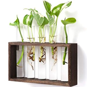 mkono wall hanging glass planter plant terrarium modern flower bud vase in wood stand rack tabletop terrarium for propagating hydroponic plants, home office decoration with 5 test tube, medium, brown