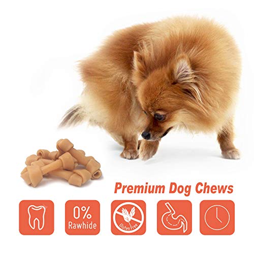 LuvChew Premium Peanut Butter Dog Chew Bones, Rawhide Free, Gluten Free, Made with Limited Ingredients, Delicious, Healthy, Highly Digestible (Mini 18pcs/Pack)