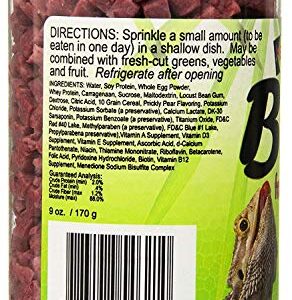 Nature Zone Nutri Bites for Bearded Dragons 9 oz - Pack of 2