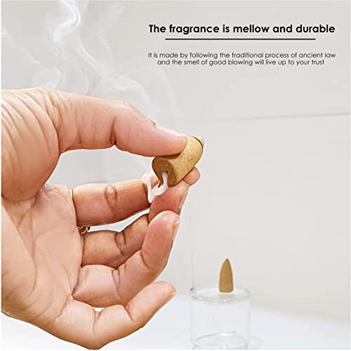 NAQSH Backflow Incense Cones for Waterfall Natural Scented Long Lasting Aroma for Positivity Yoga-Meditation (8 Cones Each Total 80 Cones)