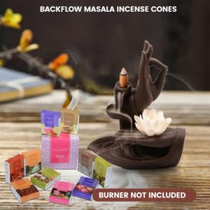 NAQSH Backflow Incense Cones for Waterfall Natural Scented Long Lasting Aroma for Positivity Yoga-Meditation (8 Cones Each Total 80 Cones)