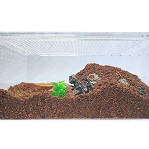 SOBAKEN Herpcult Magnetic Acrylic Large Enclosure 12 x 8 x 6