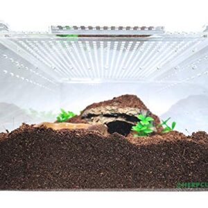 SOBAKEN Herpcult Magnetic Acrylic Large Enclosure 12 x 8 x 6