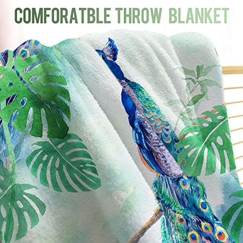 Levens Peacock Feathers Throw Blanket Gifts for Women Girls, Animals Decor for Couch Bed Sofa Travelling Camping, Birthday Christmas Soft Cozy Lightweight Blankets for Kids Adults 50"x60"