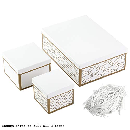 Hallmark Nested Gift Boxes with Lids and Fill (Set of 3, White and Gold, Assorted Sizes) for Valentine's Day, Weddings, Bridal Showers and More