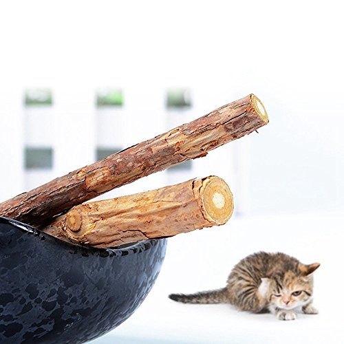 WoLover Silvervine Sticks for Cats, Natural Catnip Sticks Matatabi Chew Sticks Teeth Molar Chew Toys for Cat Kitten Kitty (at Least 12 PCS)