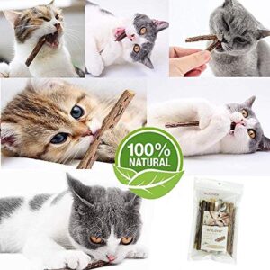 WoLover Silvervine Sticks for Cats, Natural Catnip Sticks Matatabi Chew Sticks Teeth Molar Chew Toys for Cat Kitten Kitty (at Least 12 PCS)