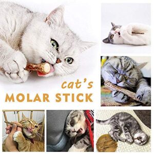 WoLover Silvervine Sticks for Cats, Natural Catnip Sticks Matatabi Chew Sticks Teeth Molar Chew Toys for Cat Kitten Kitty (at Least 12 PCS)