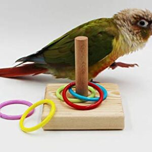 Retyion Wooden Bird Educational Toys Small Medium Parrot Intelligence Training Toys for Lovebird Parakeet Cockatiel Budgie (Rings Toys)