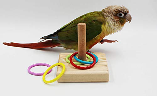 Retyion Wooden Bird Educational Toys Small Medium Parrot Intelligence Training Toys for Lovebird Parakeet Cockatiel Budgie (Rings Toys)