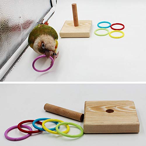 Retyion Wooden Bird Educational Toys Small Medium Parrot Intelligence Training Toys for Lovebird Parakeet Cockatiel Budgie (Rings Toys)