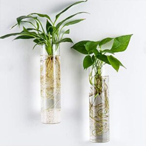 Kingbuy Wall Hanging Planter Glass Plant Propagation Station for Home Decor, Large Cylinder, 2 Pack