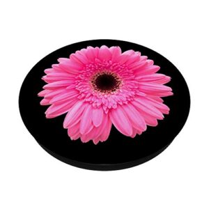 Pink Gerbera Daisy Flower Black Background PopSockets Swappable PopGrip